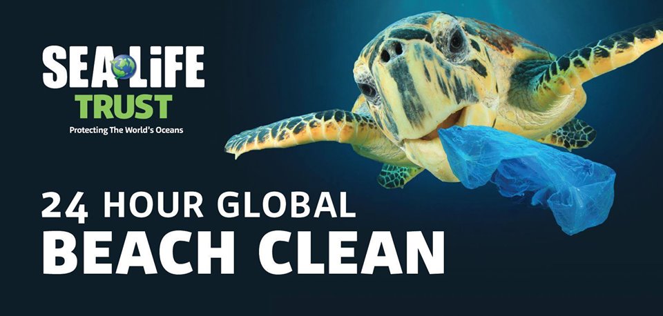 What is the SEA LIFE Trust