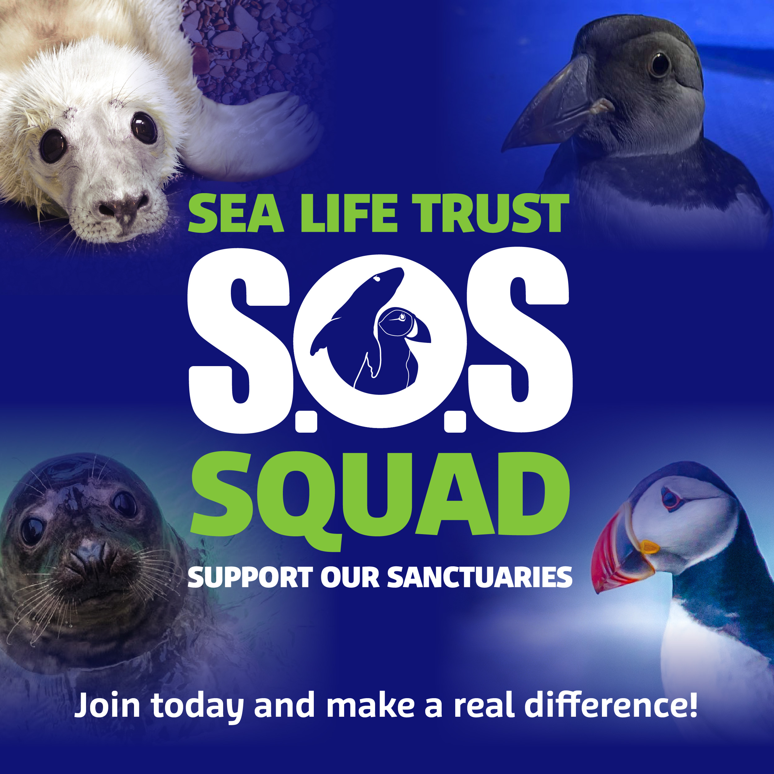 SEA LIFE Trust - How you can help with our SEA LIFE Conservation work