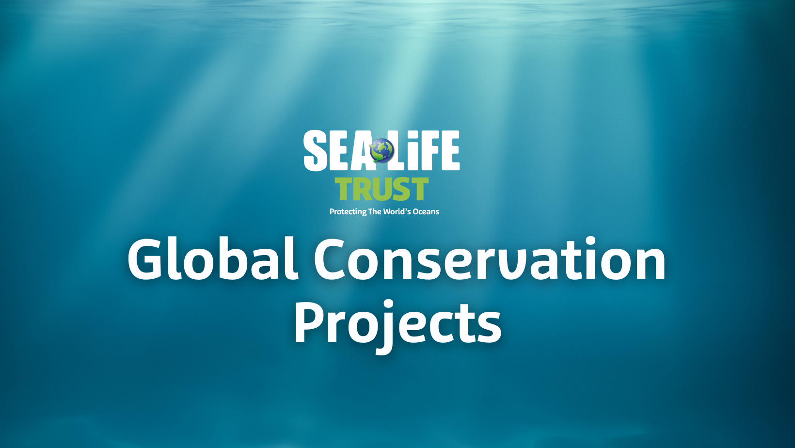 SEA LIFE TRUST - What We Do